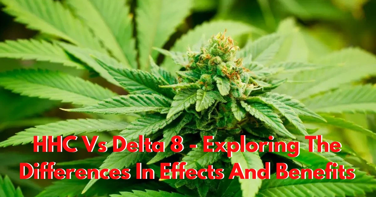 HHC Vs Delta 8 - Exploring The Differences In Effects And Benefits