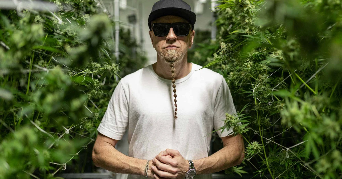 Top 25 Celebrity Cannabis Entrepreneurs Transforming The Industry